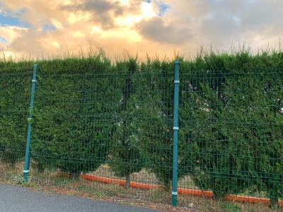 China Security Welded Wire Mesh Fence Corrosion Coating 3d Panel for sale