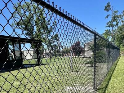 China Electro Zinc Chain Link Fence 2.5mm Wire Dia PVC Coated for sale