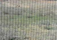 China Prison Barbed Wire Fence Galvanized Tube Anti Climb Security Fencing for sale