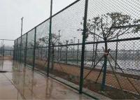 China Trellis Chainlink Football Q195 Garden Wire Mesh Fencing for sale
