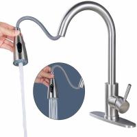 China ISO9001 Brushed Stainless Steel Kitchen Faucet OEM Pull Out Water Tap for sale