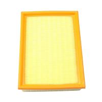 China 13721730946 13721744869 13721730449 Demillon Auto Parts Engine Parts Air Filter For BMW E36 E46 E38 E39 E83 E85 E86 for sale