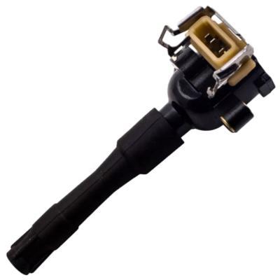 China 12131748017 12137599219 12131748018 Demillon Auto Parts Ignition Coil for BMW E36 E39 E46 E53 325i 328i 525i 528i X5 M3 Z3 for sale