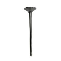 China 11347598273 11347583780 Demillon Auto Parts Engine System Engine Exhaust Valve for BMW F20 F23 F34 F36 F07 F10 F06 E84 F25 F26 for sale