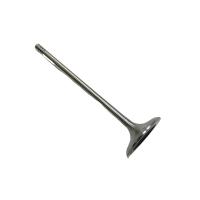 China 11347583777 11347641075 11347583779 Demillon Auto Parts Engine System Engine Intake Valve for BMW F10 F87 F30 F80 E93 E92 E88 for sale