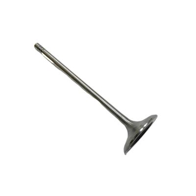 China 11347583777 11347641075 11347583779 Demillon Auto Parts Engine System Engine Intake Valve for BMW F10 F87 F30 F80 E93 E92 E88 for sale