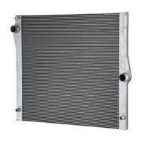 China 17117585035 17117585036 Demillon Auto Parts Cooling System Engine Radiator Tank for BMW X5 E70 for sale