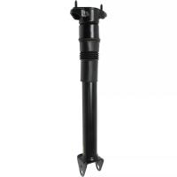 China 1643202431 Demillon Auto Parts Suspension System Rear Shock Absorber for Mercedes-Benz W164 ML280 ML300 ML350 ML420 ML450 ML500 for sale