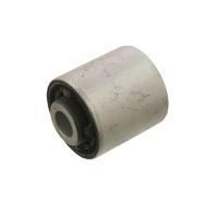 China Demillon 1643260681 1643520165 Auto Parts Rear Control Arm Bushing for Mercedes Benz Gl M-Class R-Class W164w166w251 for sale