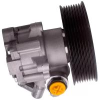 China 0044668301 Demillon Auto Parts Steering System Hydraulic Power Steering Pump for Mercedes Benz W164 W251 GL320 GL350 ML300 R350 for sale
