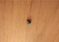 China Polyurethane Spray Gun Parts , Item 34 Polyurethane Spray Gun Parts for sale