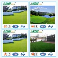 China 20mm Artificial Grass Turf 14000 Dtex Synthetic Putting Green for Playground Landscaping for sale
