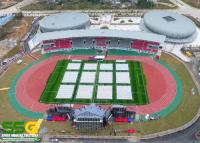 China EPDM SBR Synthetic Running Track 13mm Outdoor Rubber Flooring for Stadium for sale