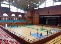 China Green PVC Vinyl Sports Flooring 4.5mm Indoor Basketball Flooring Shock Absorbent for sale
