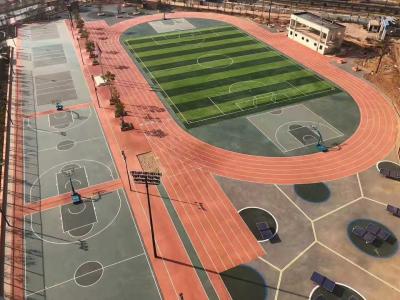 China High Elasticity Rubber Exercise Flooring , All Weather Synthetic Track Surface for sale