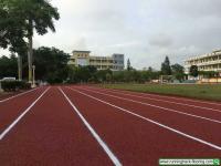 China Multi Color PU Running Track Flooring 13mm Thickness Acid Resistance IAAF Certified for sale