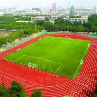 China Recyclable Rubber Running Track Material / All Weather Track Surface for sale