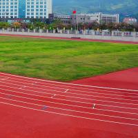 China High Elasticity Rubber Athletic Track Outdoor Indoor 6-10 Years Life EPDM SBR for sale