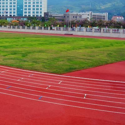China High Elasticity Rubber Athletic Track Outdoor Indoor 6-10 Years Life EPDM SBR for sale