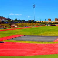 China IAAF Certified 13mm Synthetic Athletic Track Surface EPDM Rubber Running Track for sale