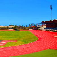 China IAAF Certified 13mm Synthetic Athletic Track Surface EPDM Rubber Running Track for sale