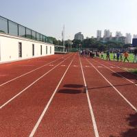 China EPDM Basketball Court Rubber Flooring 13mm IAAF Standard Outdoor Playground Flooring for sale