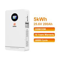 China Wall Mounted 5kwh Home Home Energy Storage Battery Pack All in One 51.2V 100Ah 5.12kWh for Home Backup Power Solutions for sale