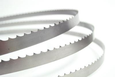 China White Finish 51CrV4 Thin Cutting Band Saw 4TPI Bandsaw Blades For Wood for sale