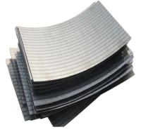 China Solid Liquid Separation Curve Wedge Line Sieve Bend Screen Wedge V Shaped for sale
