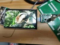 China 7 Inch TFT LCD Display,  1200x1920 Resolution , 800CD/M2 HDMI Interface for sale