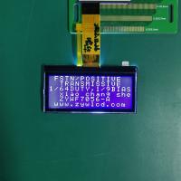 China Monochrome LCD Display 240x128 DFSTN Transmissive Character LCD Module Screen for sale