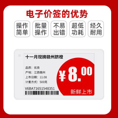 China 4 Inch white and black Epaper Display 480*800 Dot Matrix Colour Eink Display SPI interface for sale