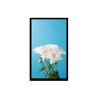 China Resolution 800*1280 250 Brightness 10.1 Inch Lcd Screen Touch 40PIN MIPI for sale