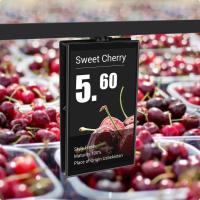 China 10.1 inch Full Color LCD TFT Display for Electronic Shelf Label with High Resolution and WIFI for sale