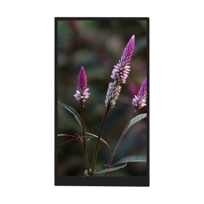China 5.5 Inch TFT Display Screen 720*1280 Resolution MIPI Interface IPS for sale