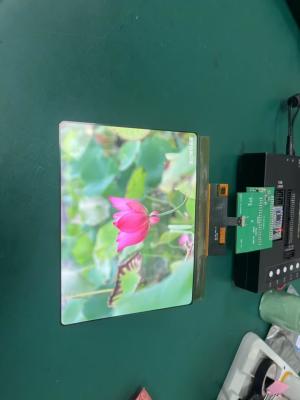 China 8 Inch AMOLED OLED Display With Touch Panel 1860×2480 Resolution MIPI Interface  430cd/m2 Driving IC RM69380 for sale