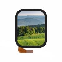 China 1.952 Inch AMOLED Display Module 450cd/M2 for sale