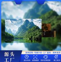 China 2.51 Inch IPS LCD Display Touch Panel with 440 (RGB) x 696 Resolution and 850 cd/m2 Brightness MIPI Interface for sale