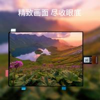 China China 3.92 Inch AMOLED Display Module with 1080×1240 resolution MIPI Interface and 500 cd/M2 Brightness with distributor price for sale