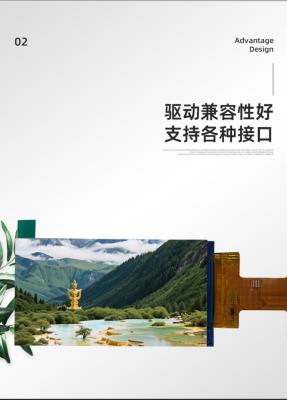 China 3.5