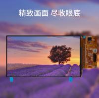 China 5.48 Inch AMOLED Display Module with 1080×1920 Resolution and 500 cd/m2 Brightness for sale