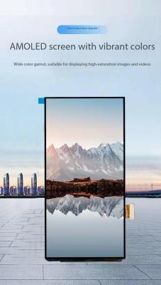 China 6.01 Inch AMOLED Display Module with 500nit Brightness and 1080 x 2160 Resolution for sale