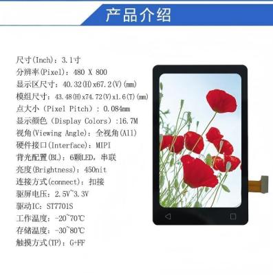 China 3.1