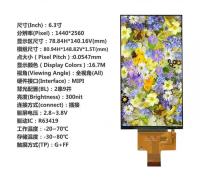 China 6.3