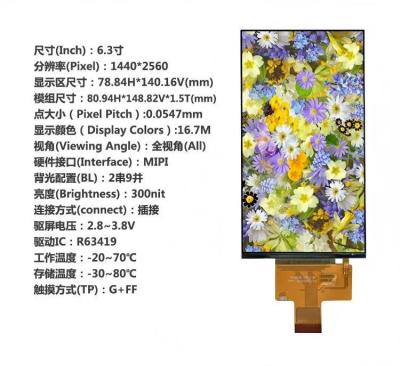 China 6.3