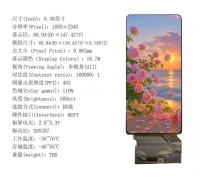 China 6.39 Inch AMOLED Display Module with 500nit Brightness and 1080RGBx2340 Resolution MIPI Interface for sale