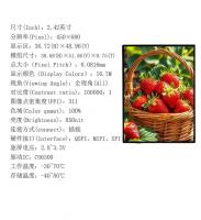 China 2.42 Inch AMOLED Display Module with 850nit Brightness and 450RGBx600 Resolution for sale