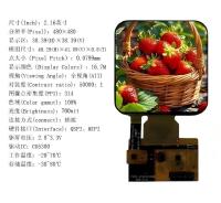 China 2.16 Inch AMOLED Display Module with 480x480 Resolution 700nit Brightness and QSPI/MIPI Interface for sale