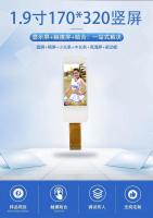 China 1.9 inch IPS TFT Module with 170x320 Resolution and 350nit Brightness High Quality Screen for sale
