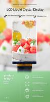 China 2.95 Inch IPS TFT Display with 480*854 Resolution and MIPI 2L Interface for Industrial Control for sale